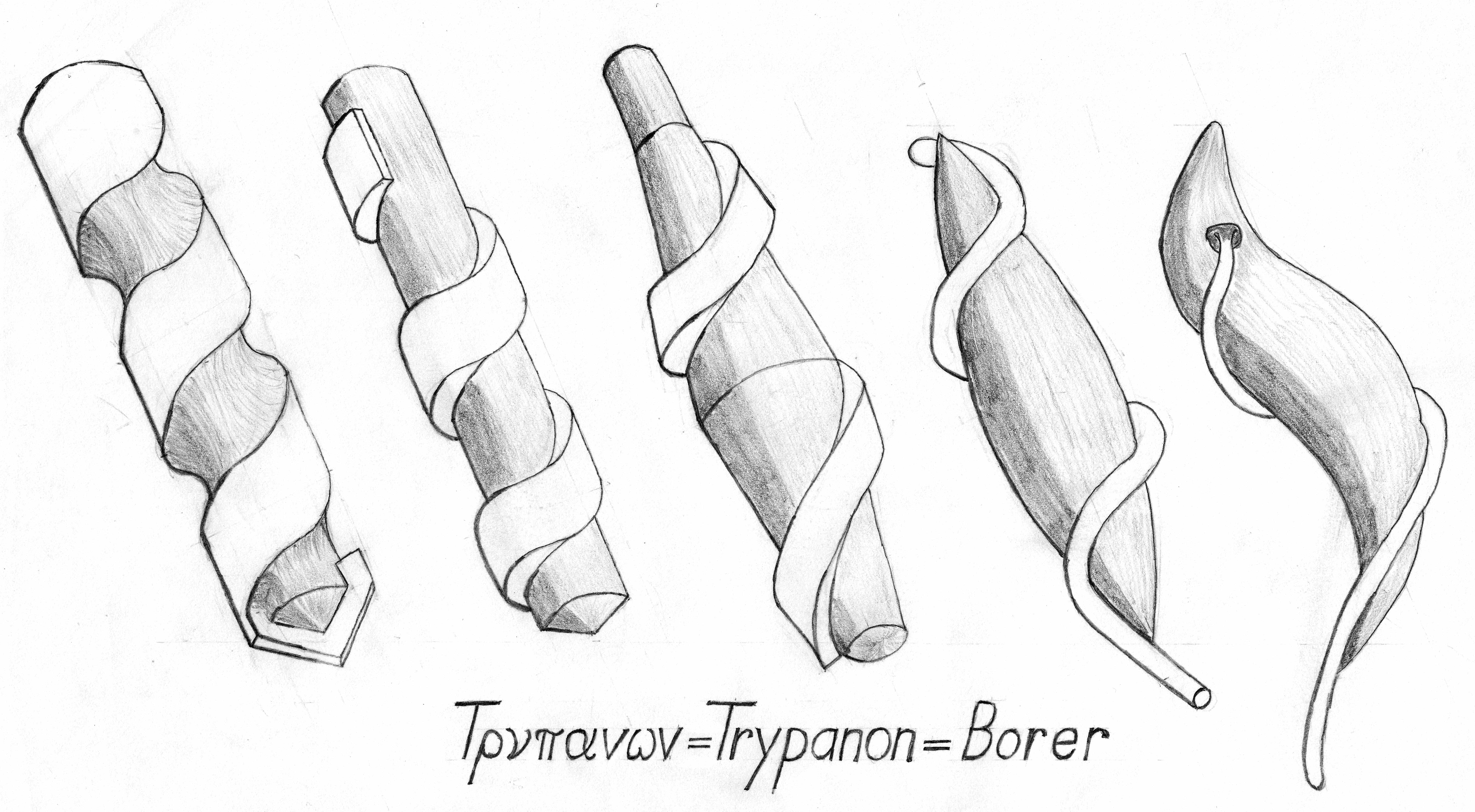 trypanosomes imagined in art