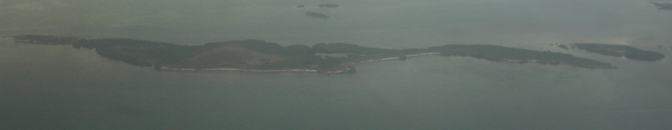 trypanosomes imagined in art